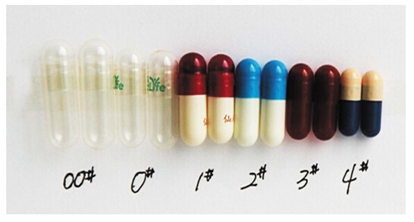 Cómo controlar la temperatura y la humedad de la cápsula vacía - Hunan ...